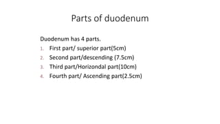 SMALL INTESTINE(2).pptx for allied health science | PPT