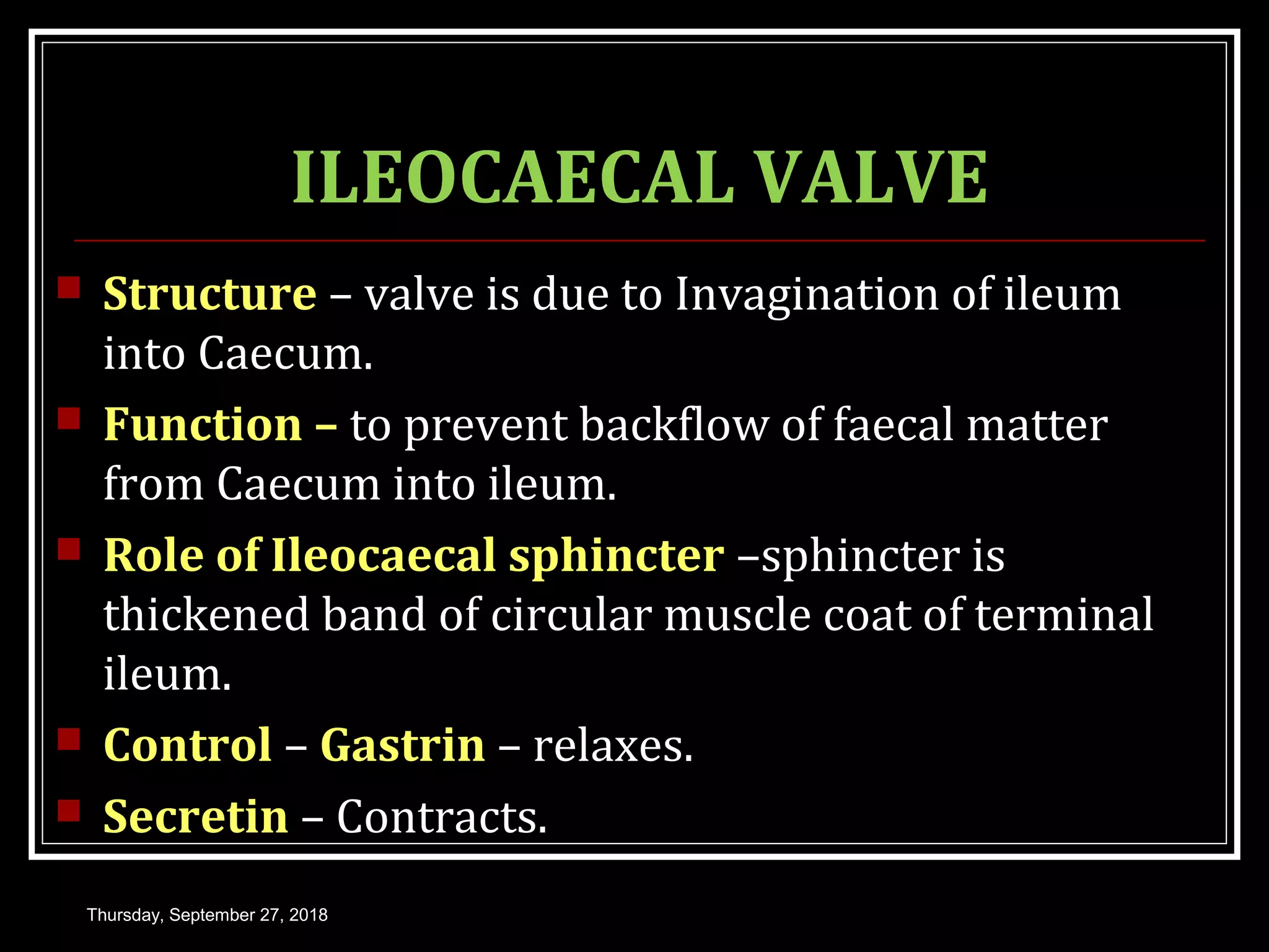SMALL INTESTINE AND LARGE INTESTINE | PPT