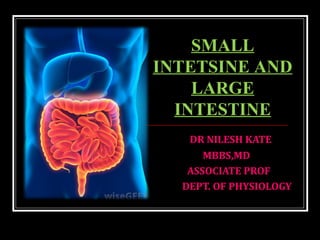 SMALL INTESTINE AND LARGE INTESTINE | PPT