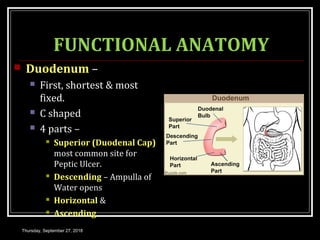 SMALL INTESTINE AND LARGE INTESTINE | PPT