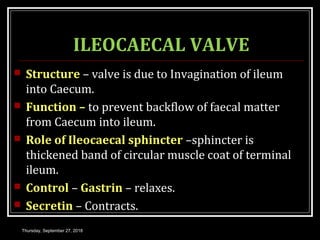 SMALL INTESTINE AND LARGE INTESTINE | PPT