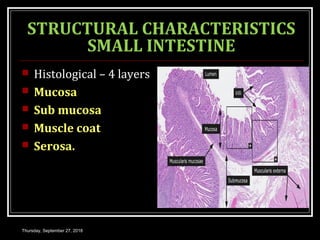 SMALL INTESTINE AND LARGE INTESTINE | PPT