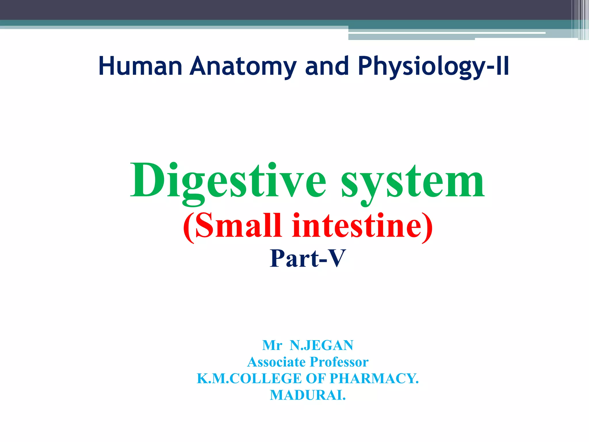 Small intestine and large intestine | PPTX
