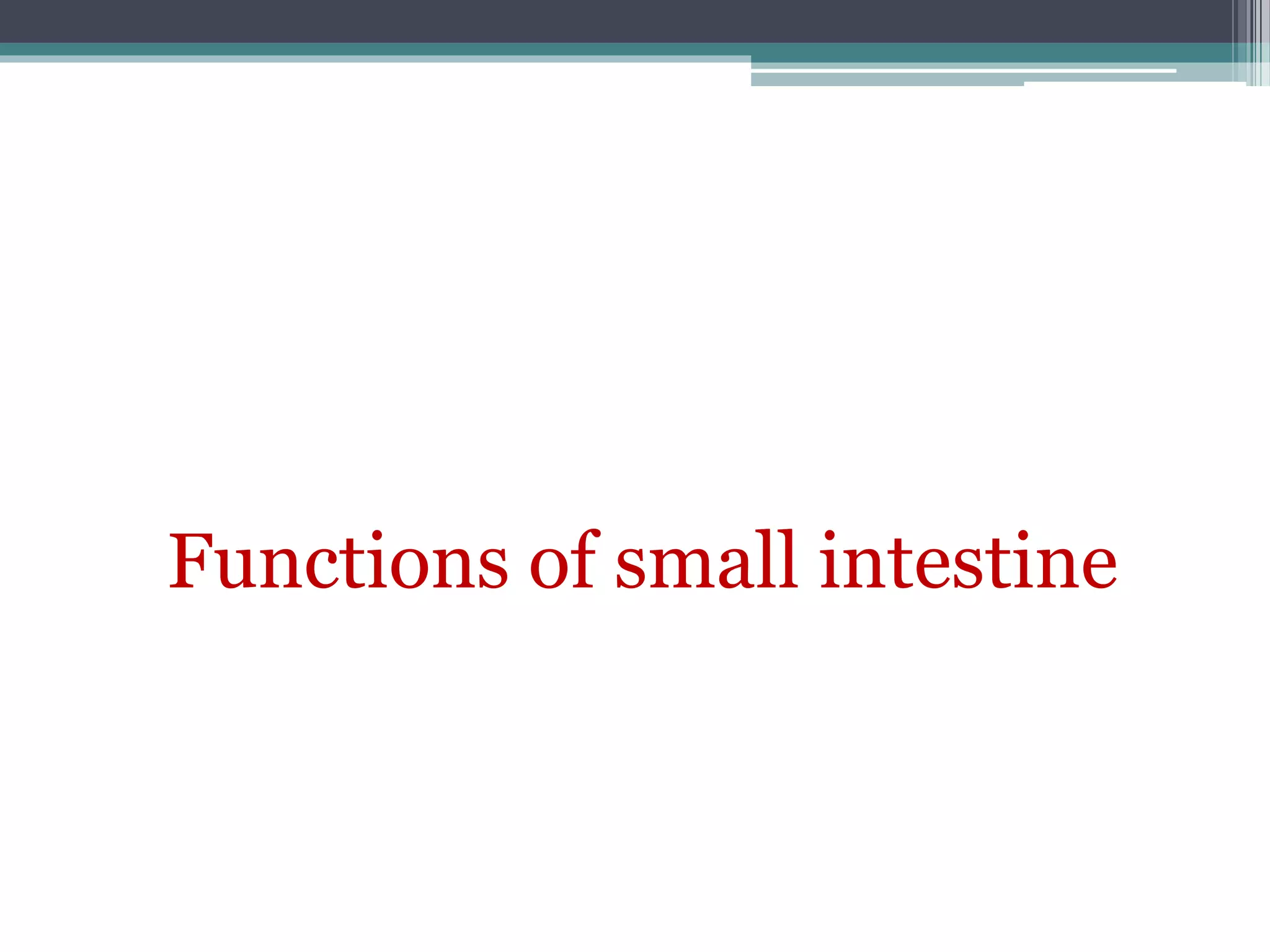 Small intestine and large intestine | PPTX