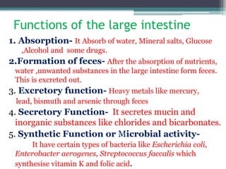 Small intestine and large intestine | PPTX