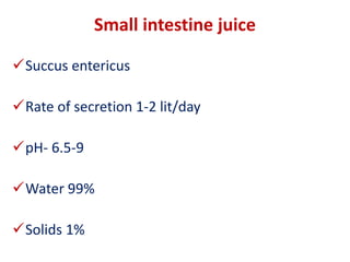 Small intestine and large intestine- BPT.pptx