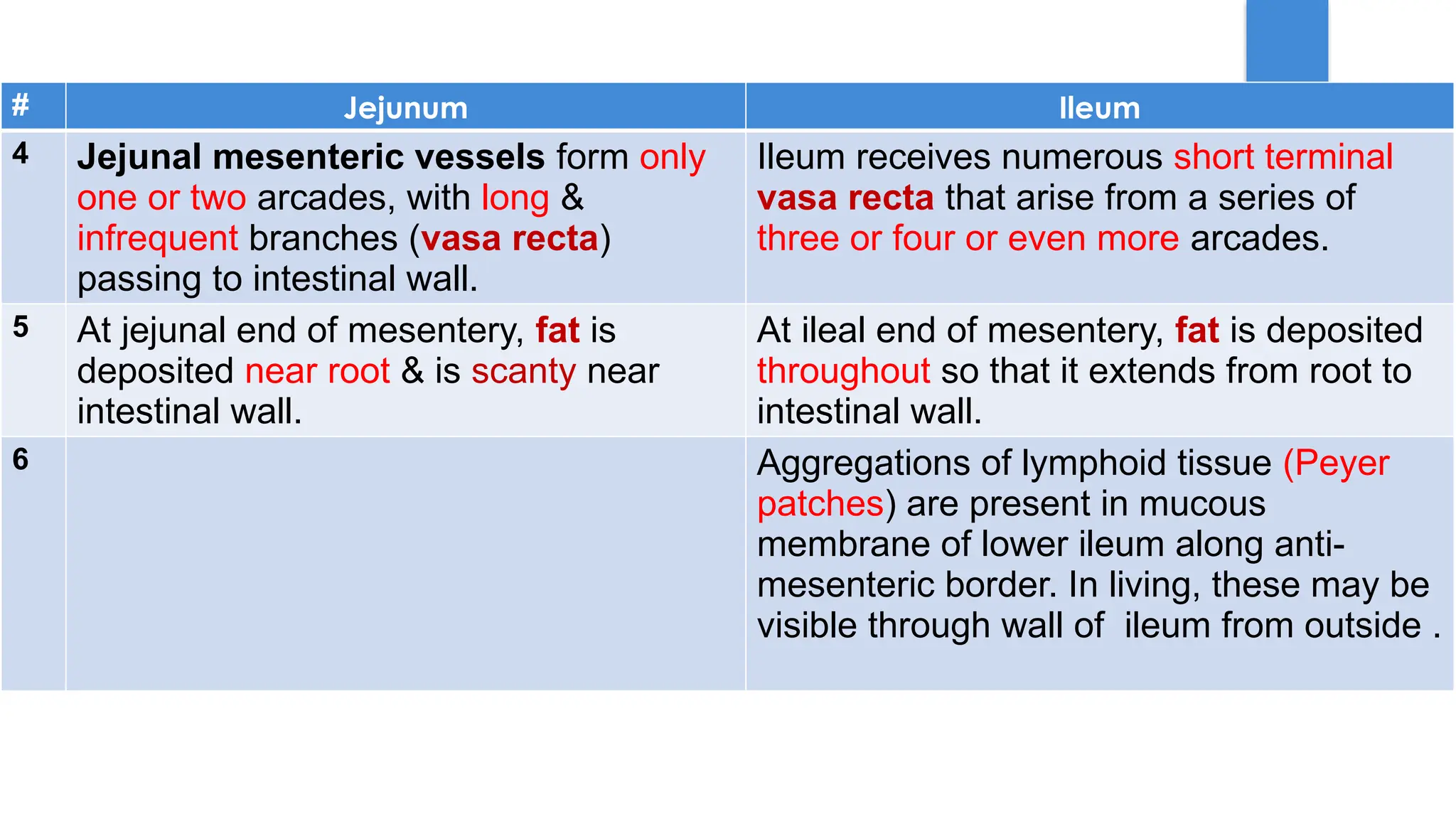 Small Intestine by Dr. Rabia Inam Gandapore.pptx