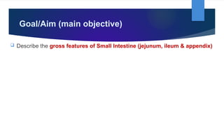 Small Intestine by Dr. Rabia Inam Gandapore.pptx