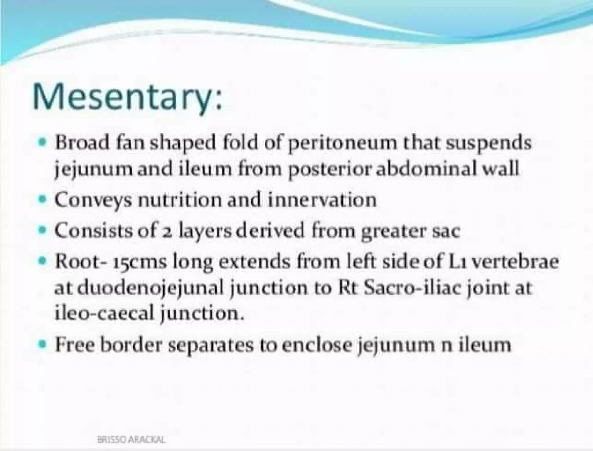 Small intestine detail ( anatomy & physiology) | PDF