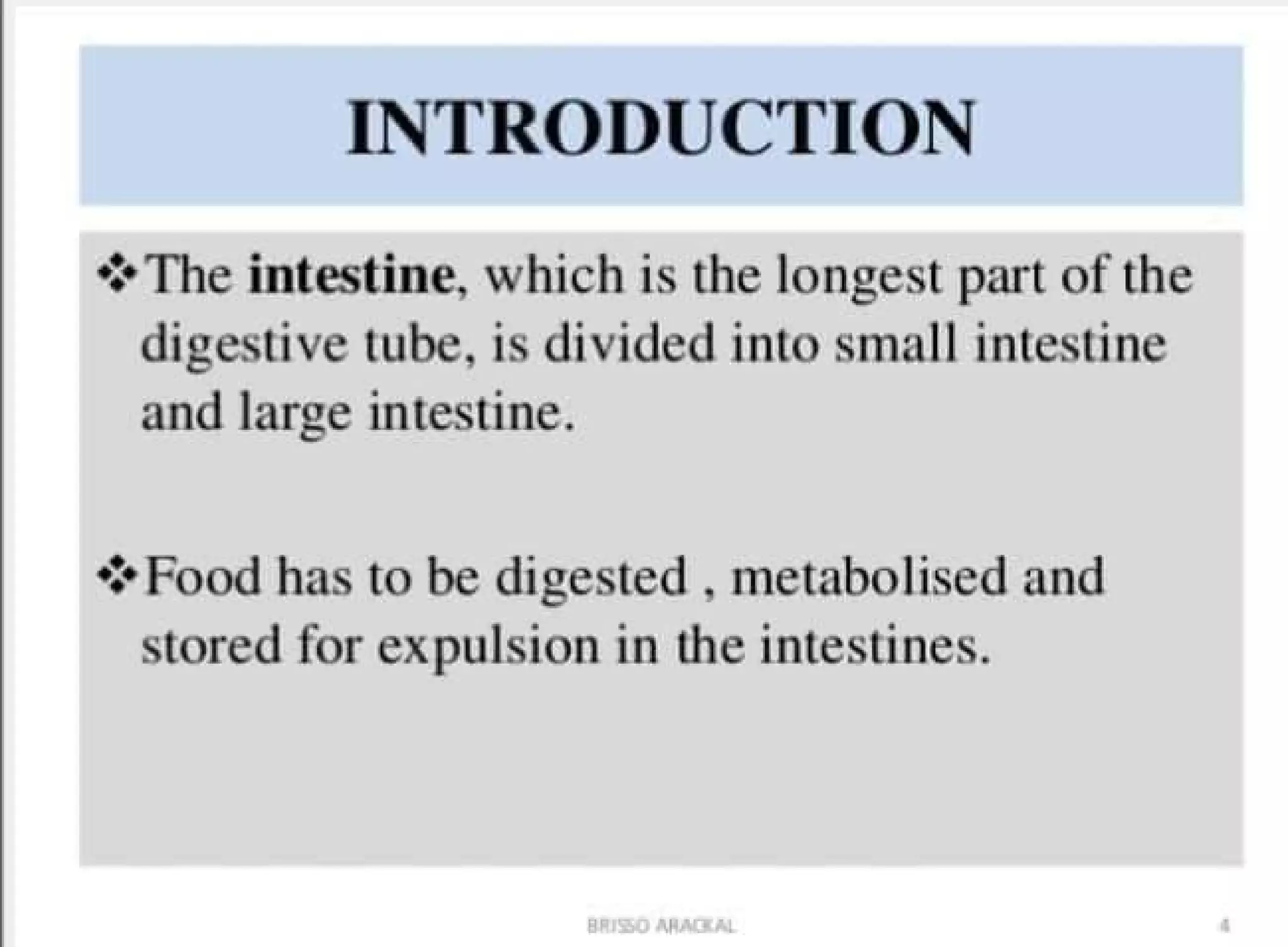 Small intestine detail ( anatomy & physiology) | PDF