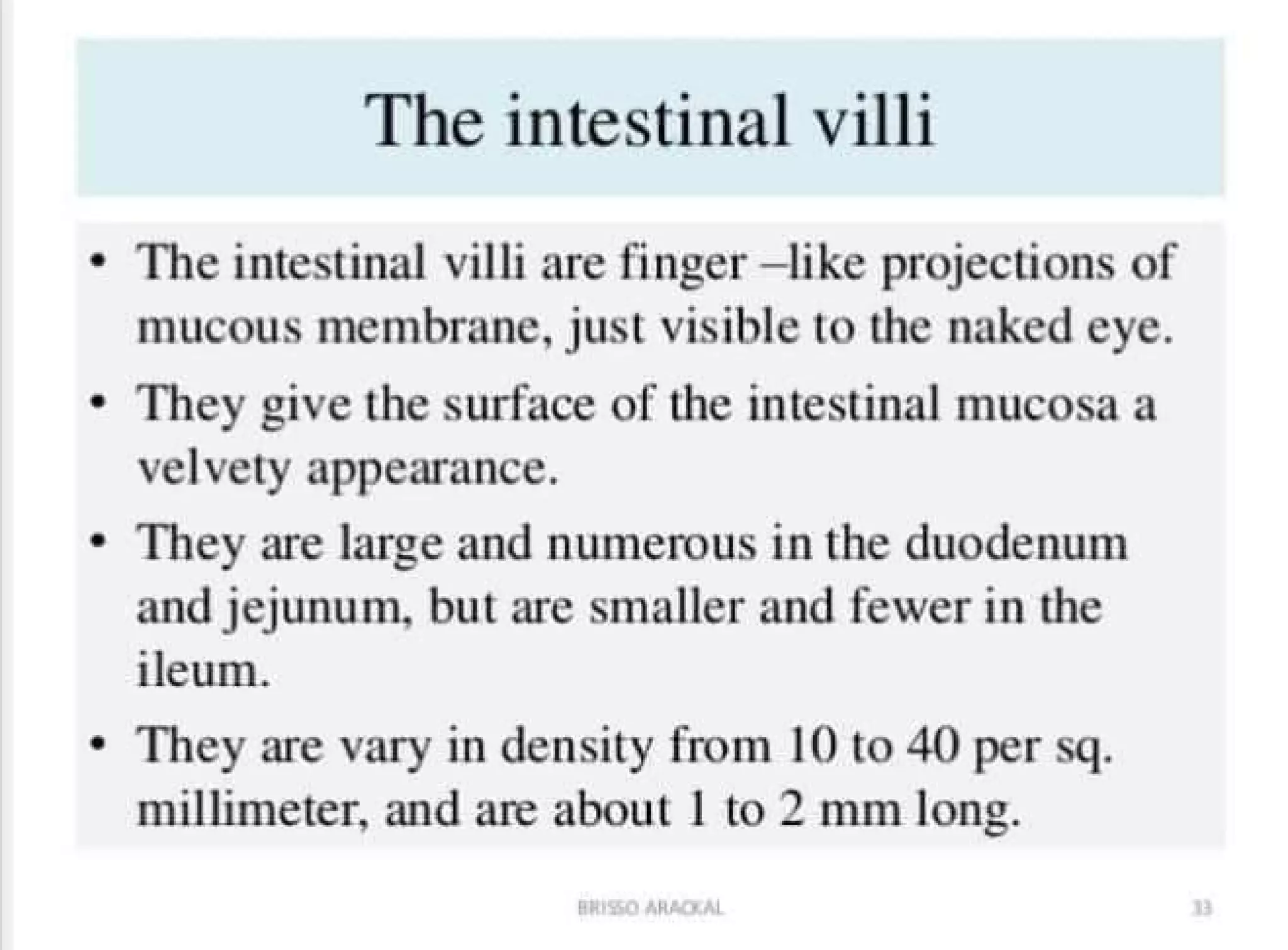 Small intestine detail ( anatomy & physiology) | PDF