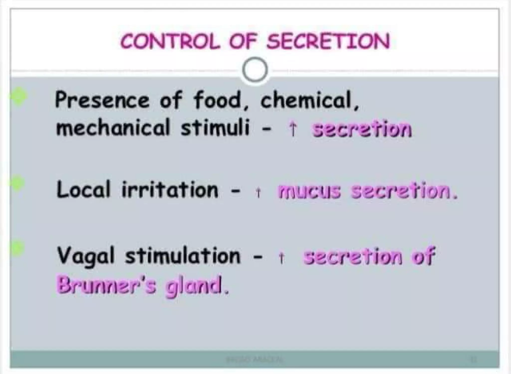 Small intestine detail ( anatomy & physiology) | PDF