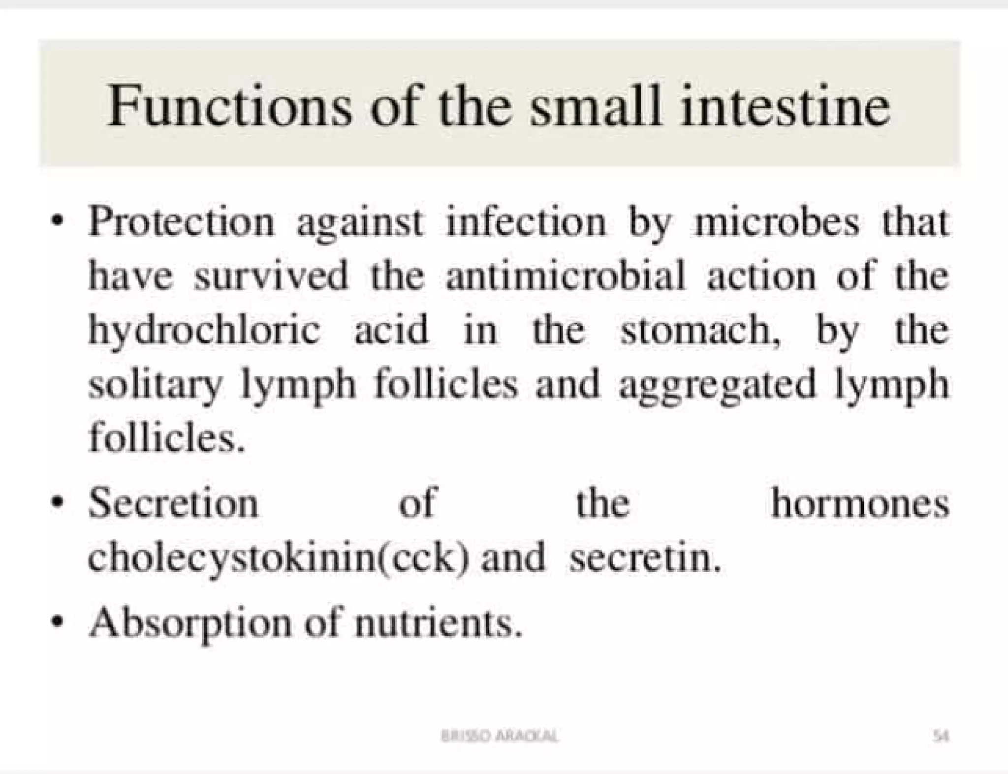 Small intestine detail ( anatomy & physiology) | PDF