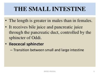 Small intestine detail ( anatomy & physiology) | PDF