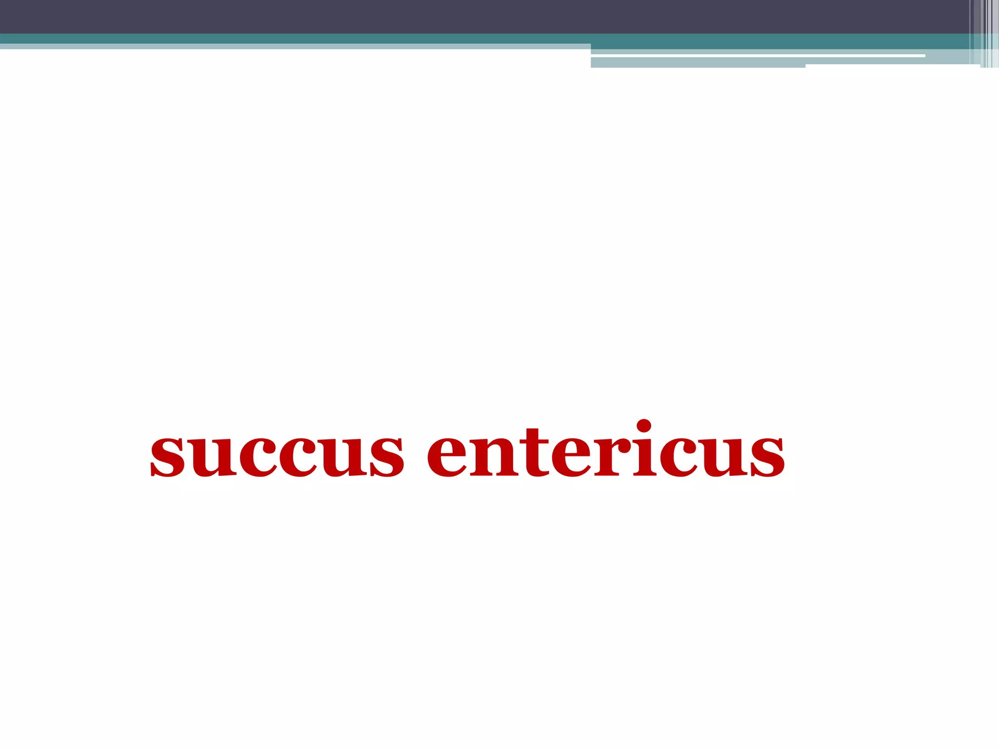 Small intestine digestion and pancreas | PPTX