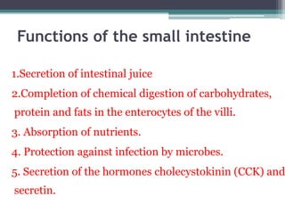 Small intestine digestion and pancreas | PPTX
