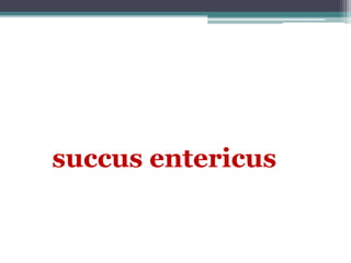 Small intestine digestion and pancreas | PPTX