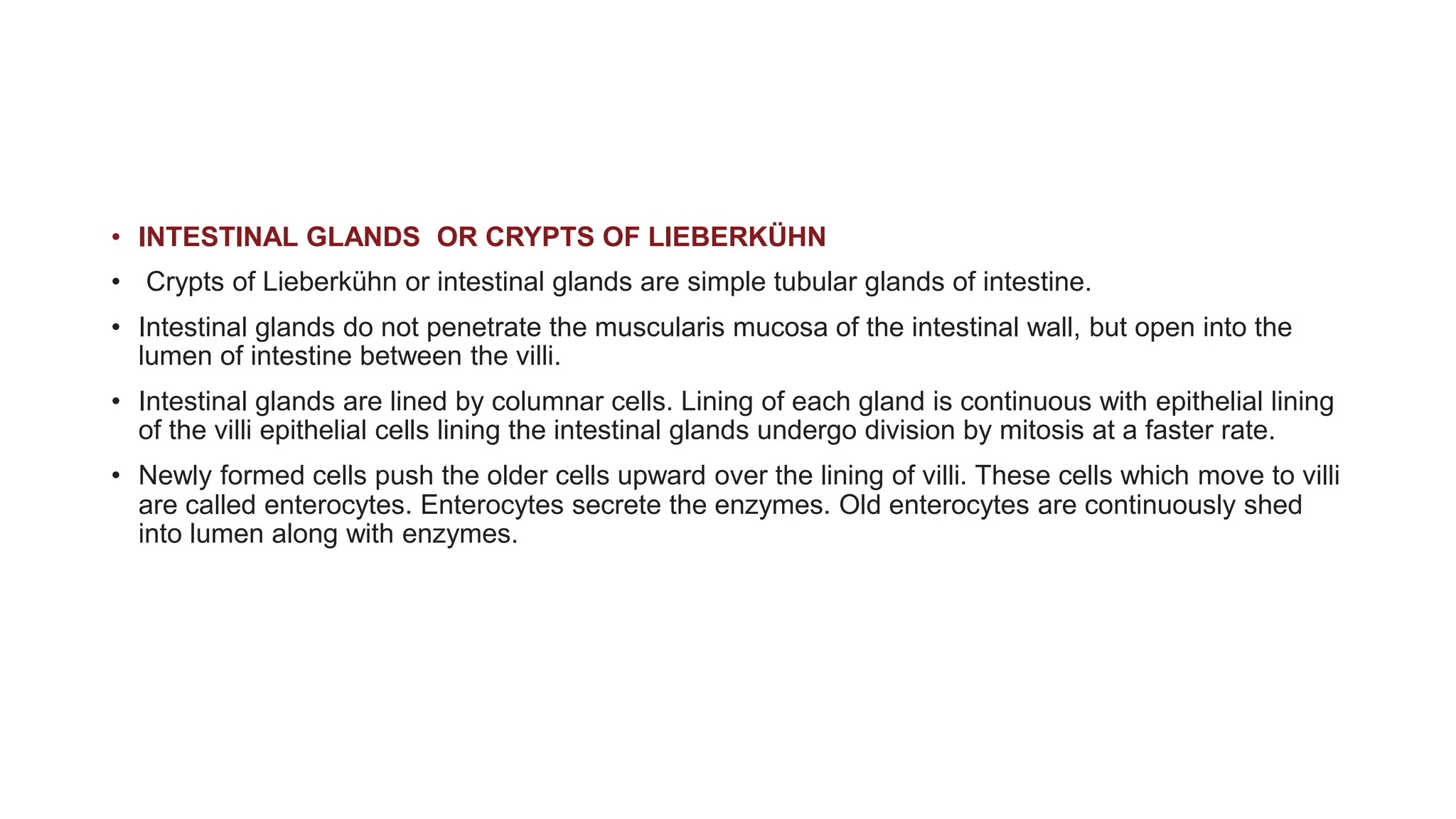 Small Intestine_disorders-causes_symptoms.pptx