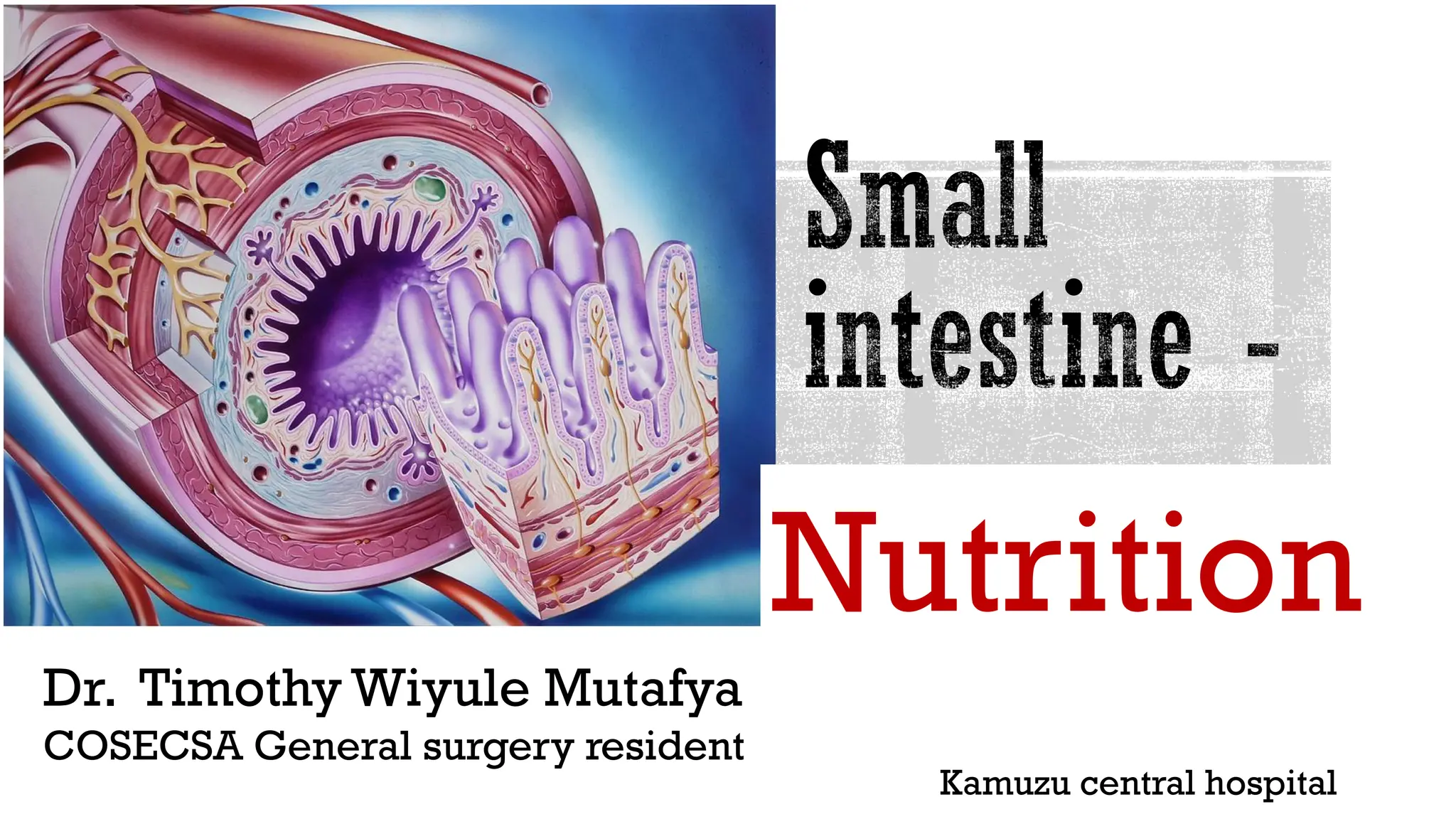 Small intestine Nutrition pdf. Dr Tim Wiyule Mutafya. General surgery ...