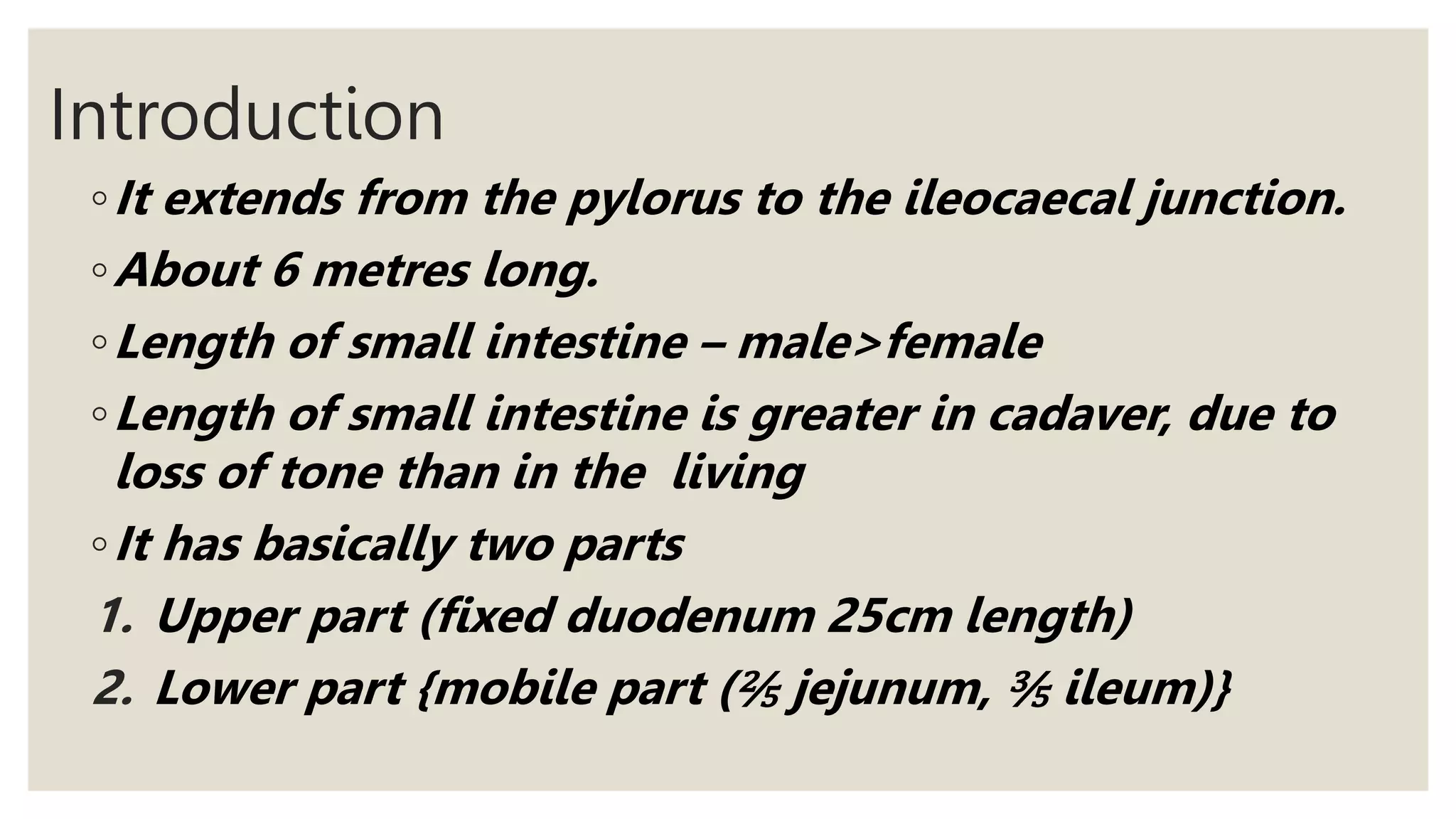 small intestine presentation. Roll no. 7.pptx