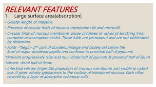 small intestine presentation. Roll no. 7.pptx