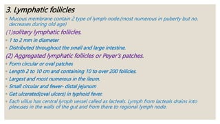small intestine presentation. Roll no. 7.pptx