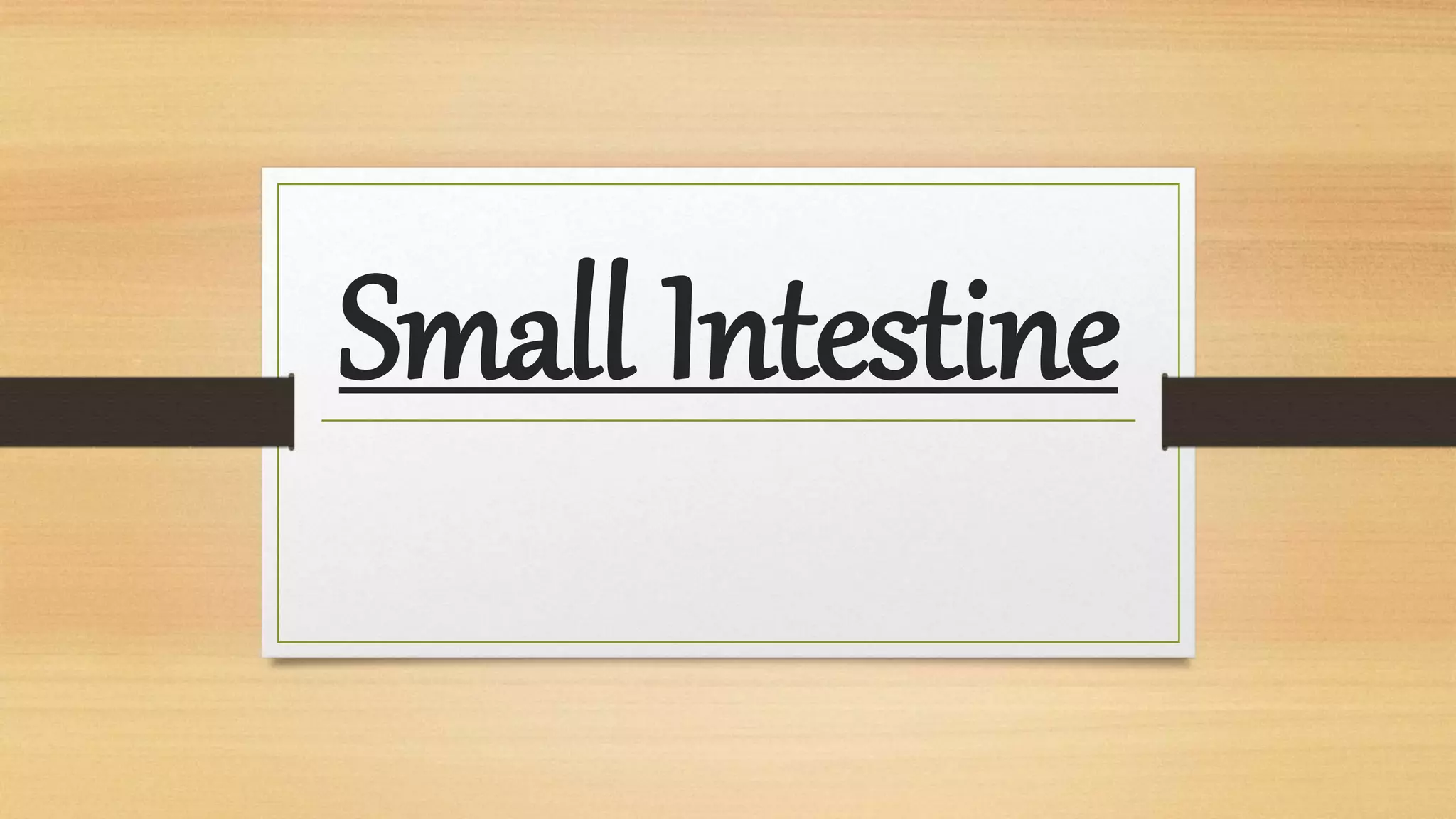 Small intestine surgery | PPTX