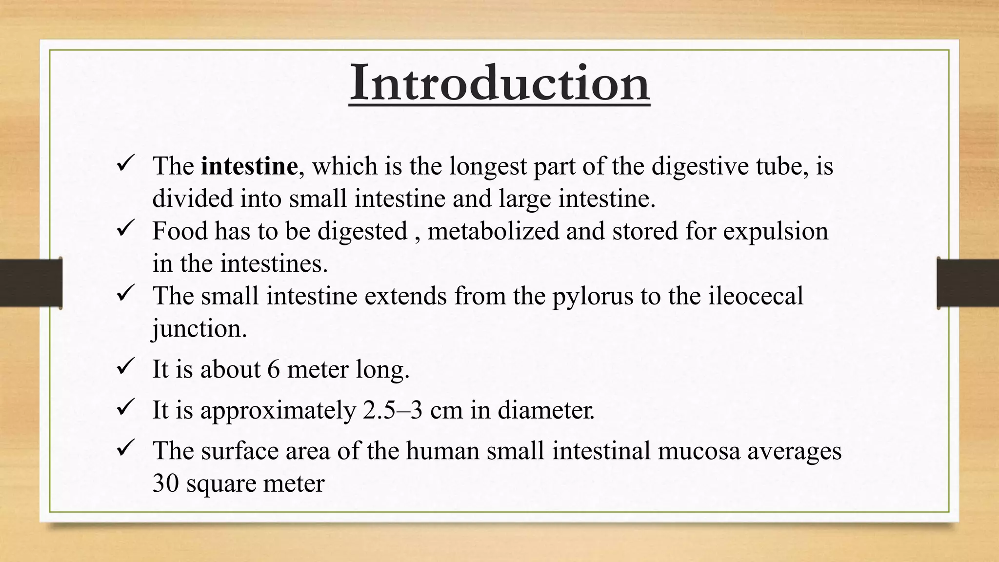 Small intestine surgery | PPTX