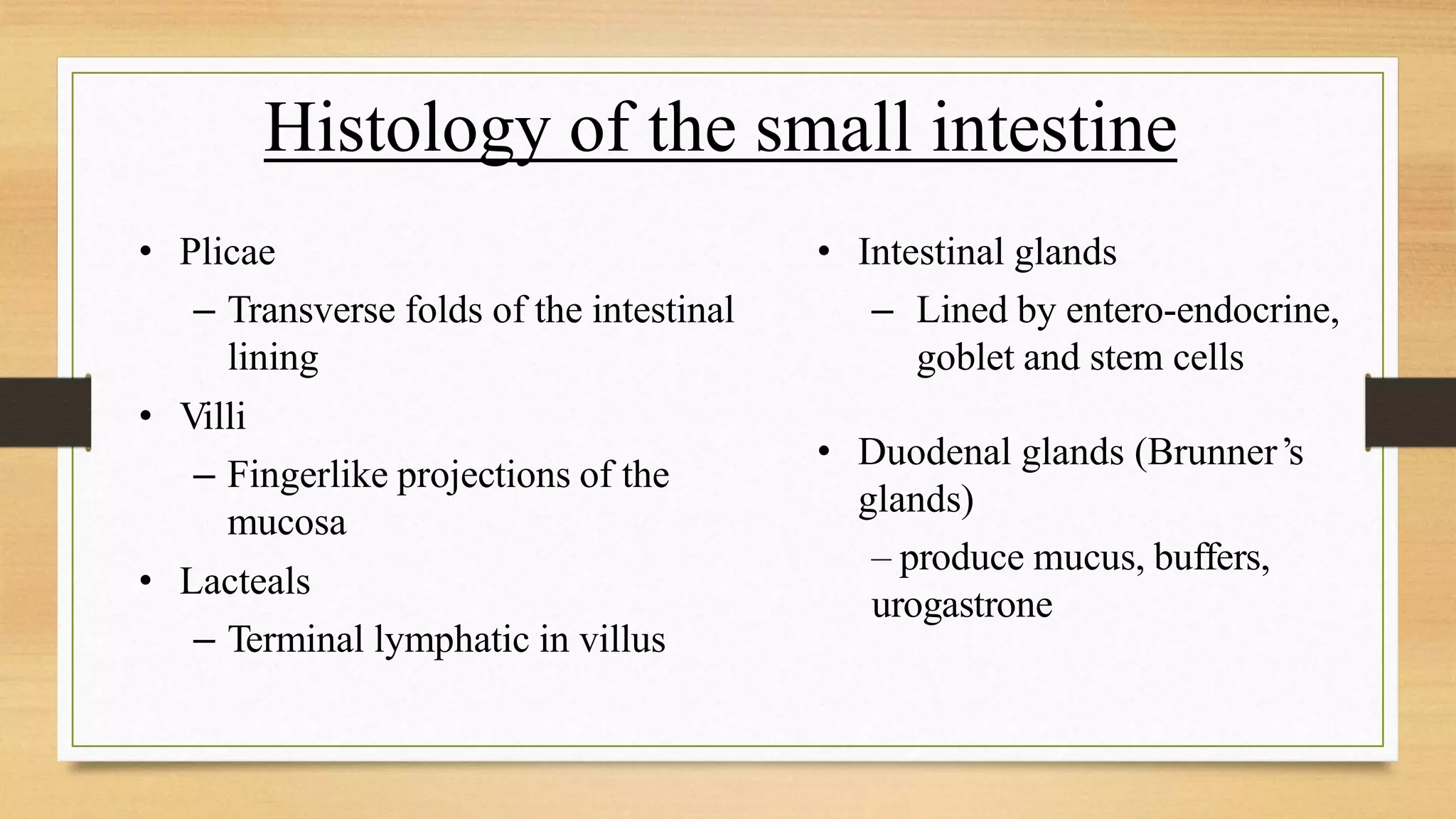 Small intestine surgery | PPTX