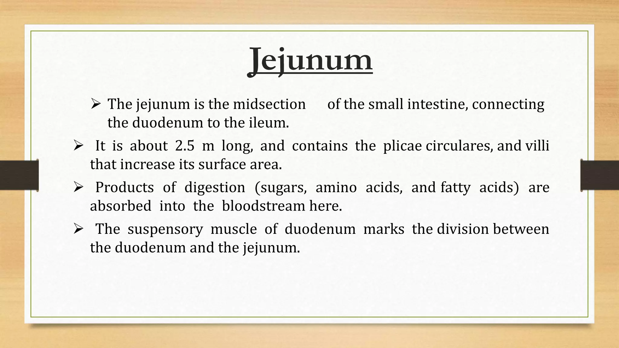 Small intestine surgery | PPTX