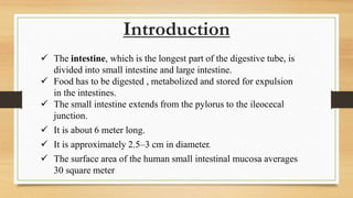 Small intestine surgery | PPTX