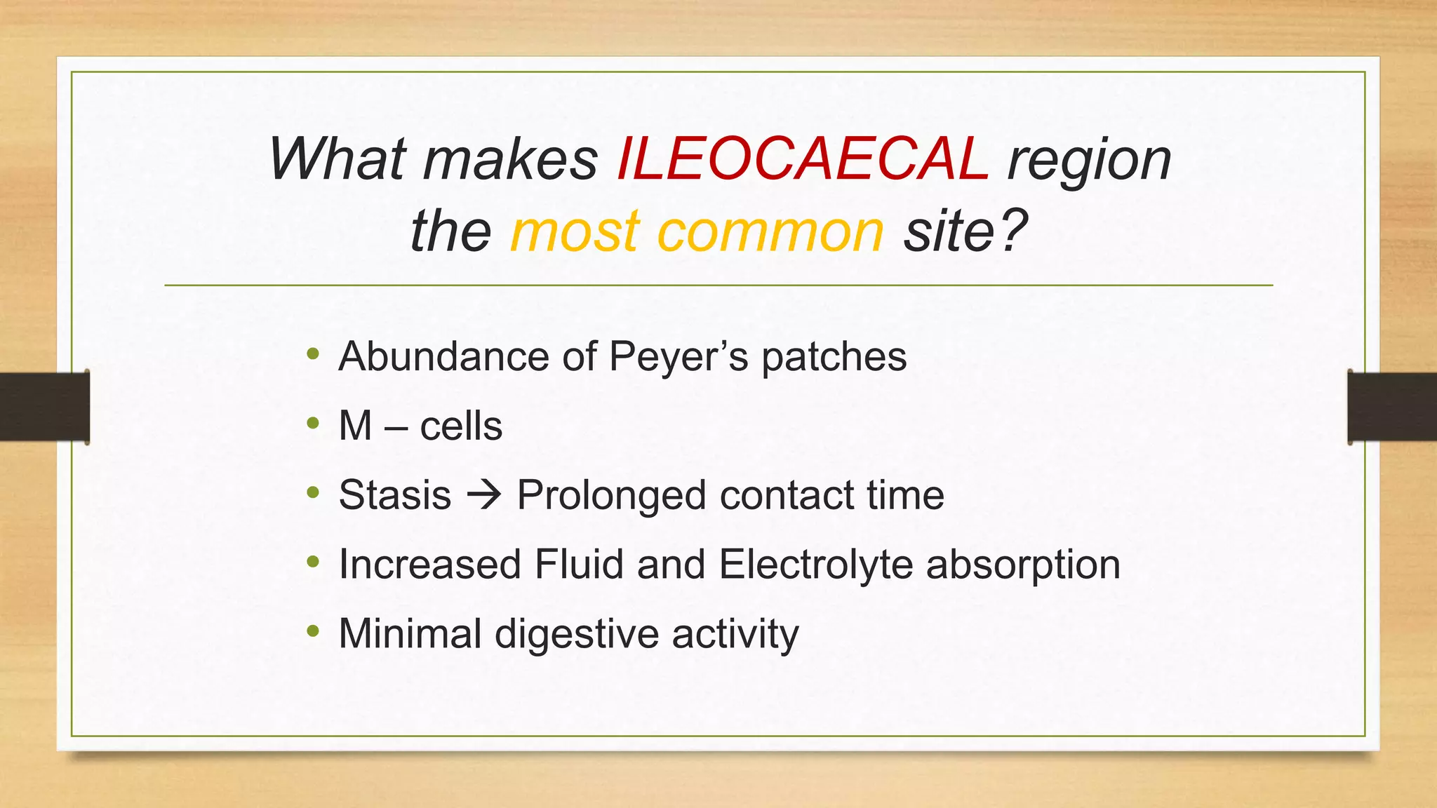 Small Intestine TB (Tuberculosis) | PPTX