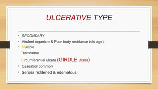 Small Intestine TB (Tuberculosis) | PPTX