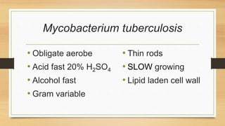 Small Intestine TB (Tuberculosis) | PPTX