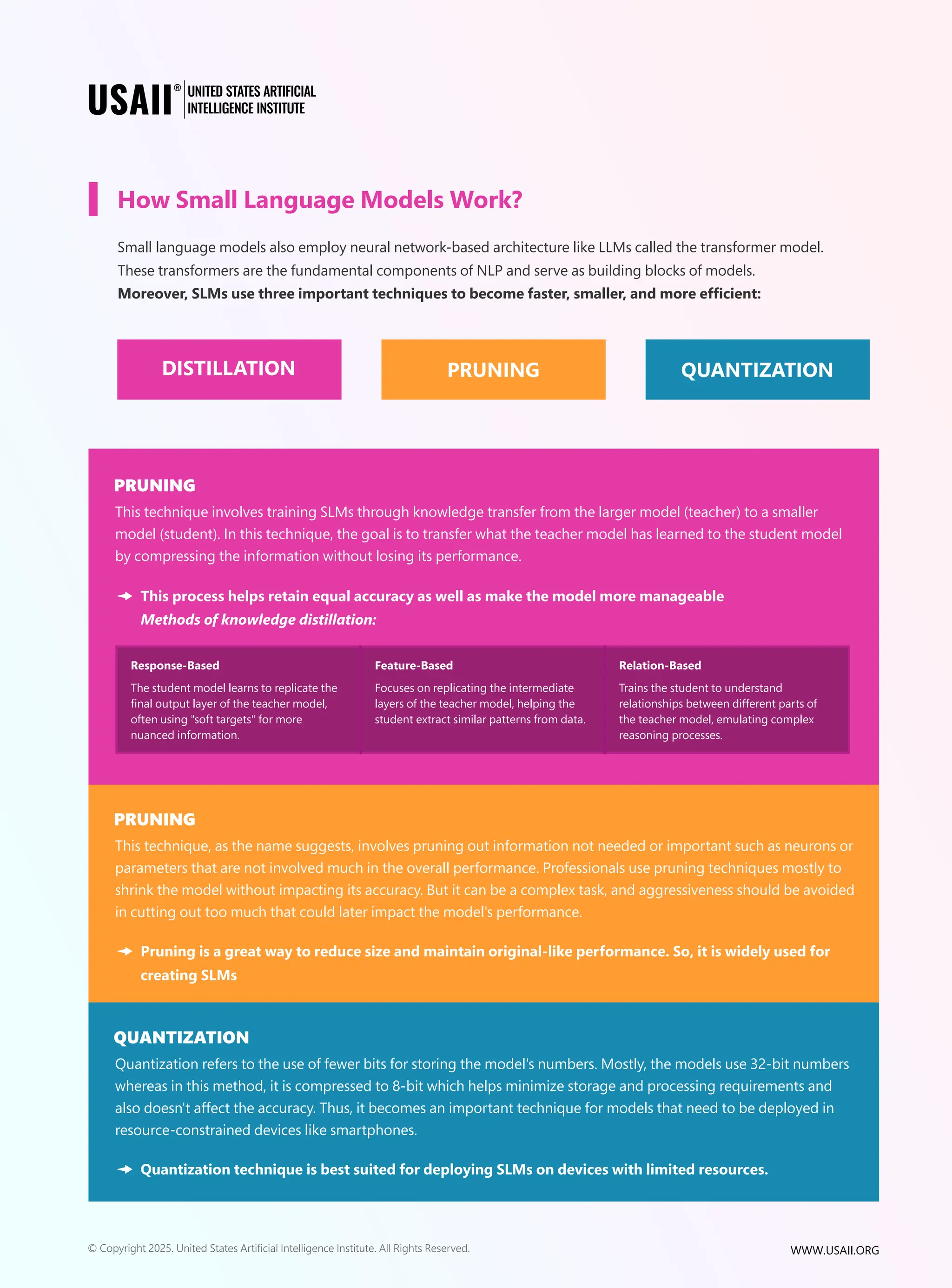 What are Small Language Models (SLMs) – A Brief Guide | USAII® | PDF