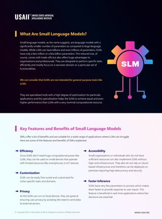 What are Small Language Models (SLMs) – A Brief Guide | USAII® | PDF