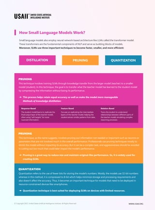 What are Small Language Models (SLMs) – A Brief Guide | USAII® | PDF