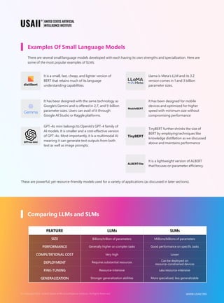 What are Small Language Models (SLMs) – A Brief Guide | USAII® | PDF