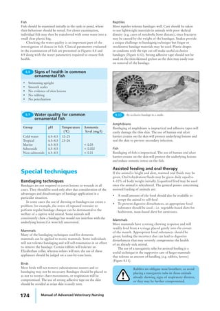 Small mammal exotic animal and wildlife nursing | PDF