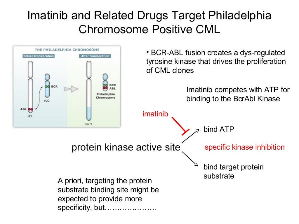 Small Molecule Inhibitors