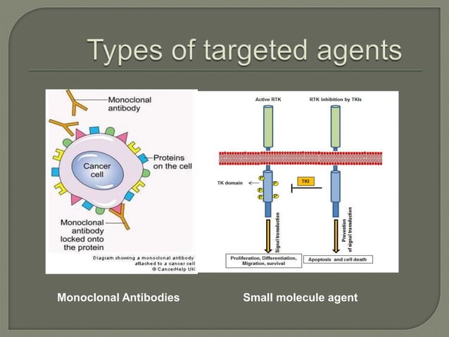 Small molecule targeted therapy | PPTX