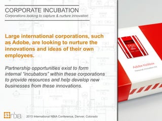 Hybrid Business Incubation Models (NBIA 2015) | PDF