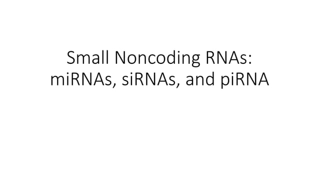 small noncoding RNA.pdf