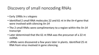 small noncoding RNA.pdf