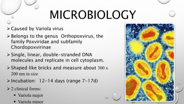 Smallpox | PPTX | Infectious Diseases | Diseases and Conditions