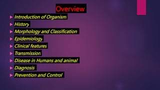 SMALL POX; Variola virus@variola major and variola minor.pptx | Free ...