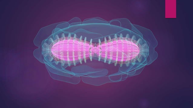 SMALL POX; Variola virus@variola major and variola minor.pptx