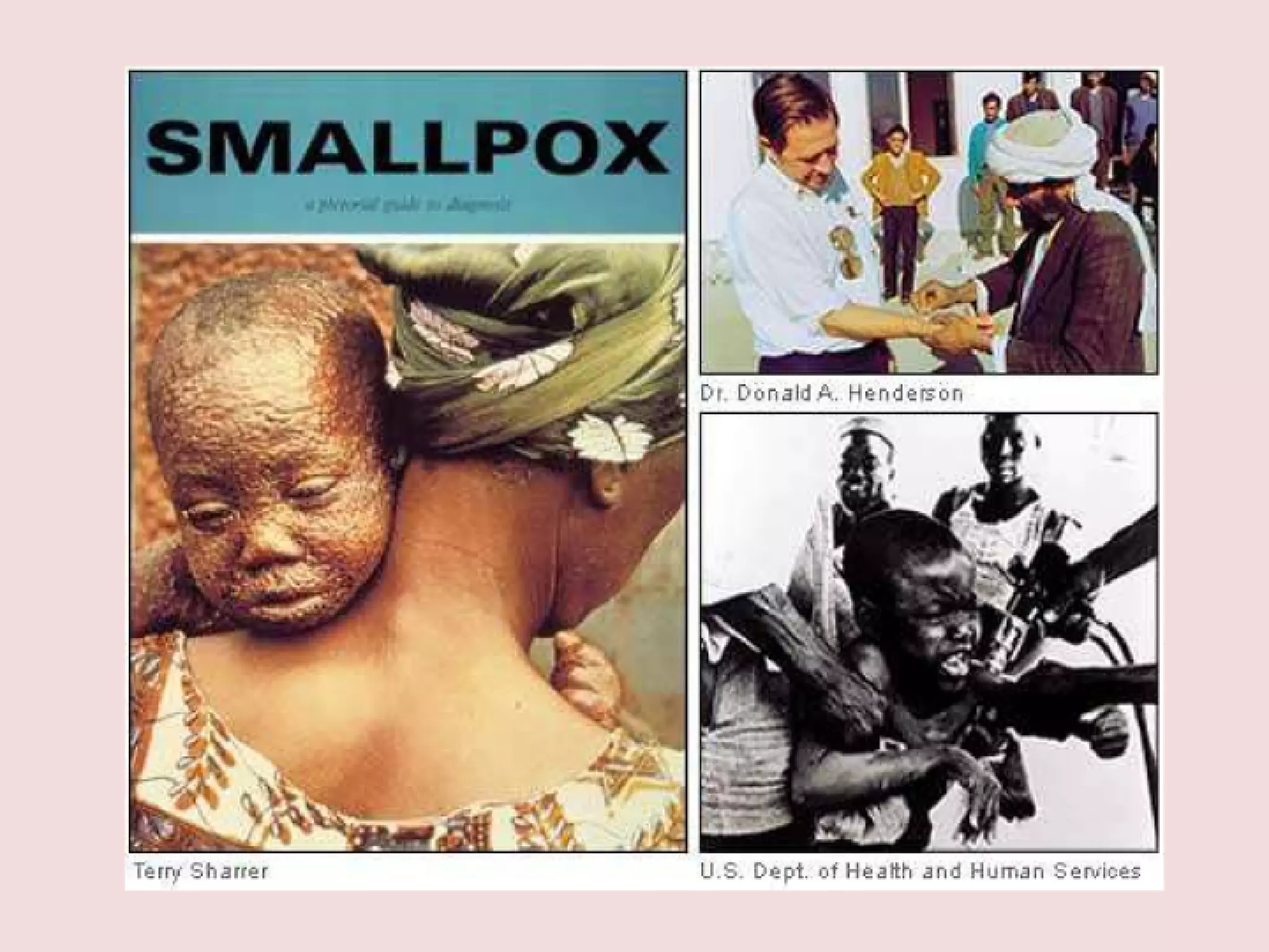 Smallpox virus | PDF