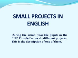 Small projects in English | PPT