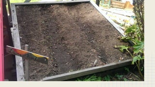 Small research project | PPT